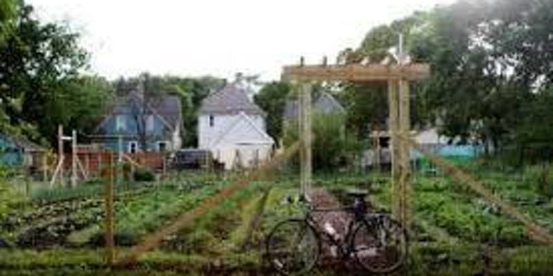 Green Building September 11th Luncheon: Redefining ‘Productivity ...